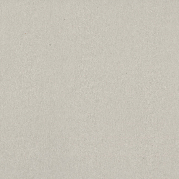 Bazzill Card Shoppe 12x12" Heavyweight Cardstock, 25 sheets - Availabl ...
