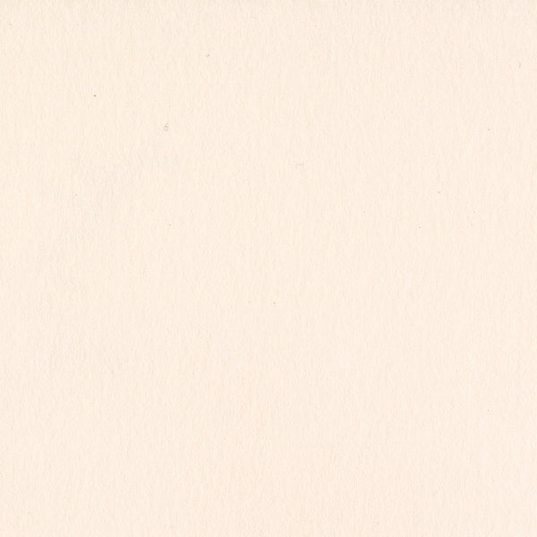 Bazzill Card Shoppe 12x12" Heavyweight Cardstock, 25 sheets - Availabl ...