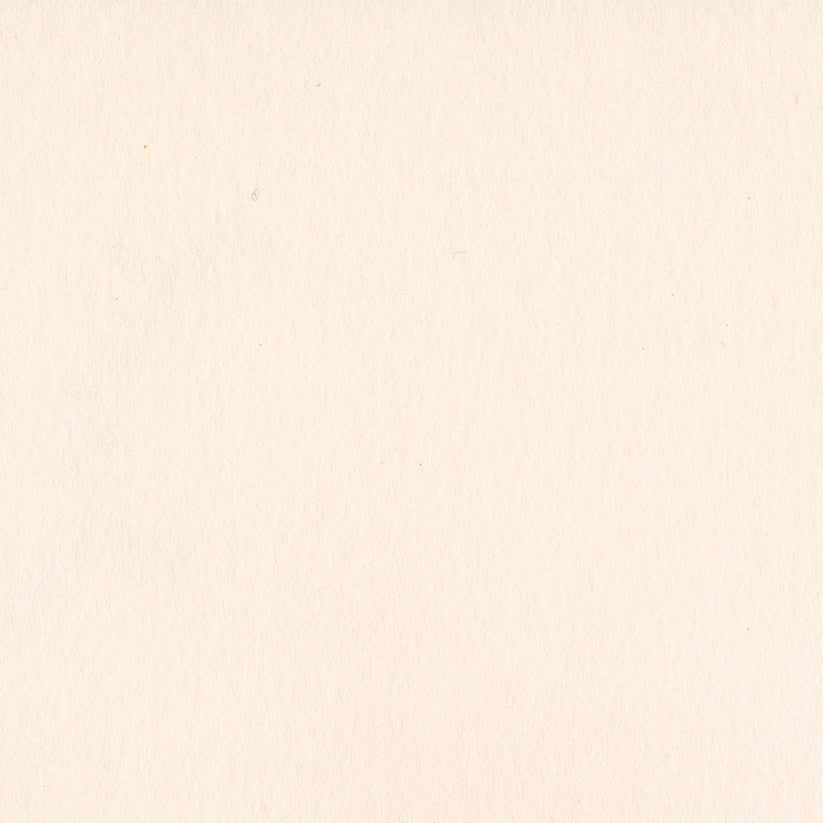 Bazzill Card Shoppe 12x12" Heavyweight Cardstock, 25 sheets - Availabl ...